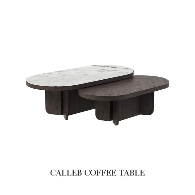 Calleb Coffee Table - Modulo